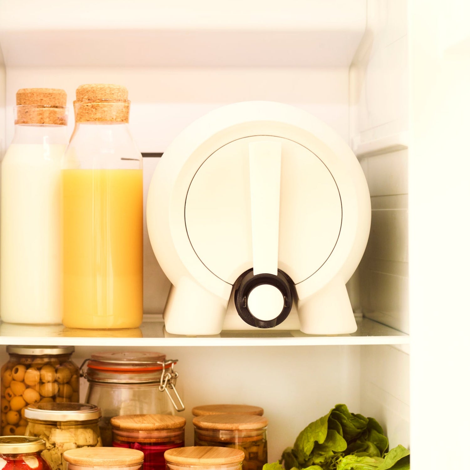 Bruusta, the smarter way to drink kombucha.